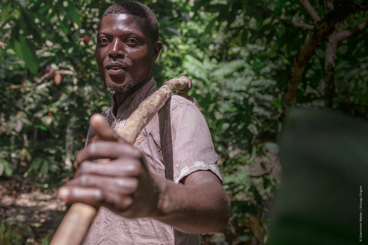 Who We Are – Virunga Origins