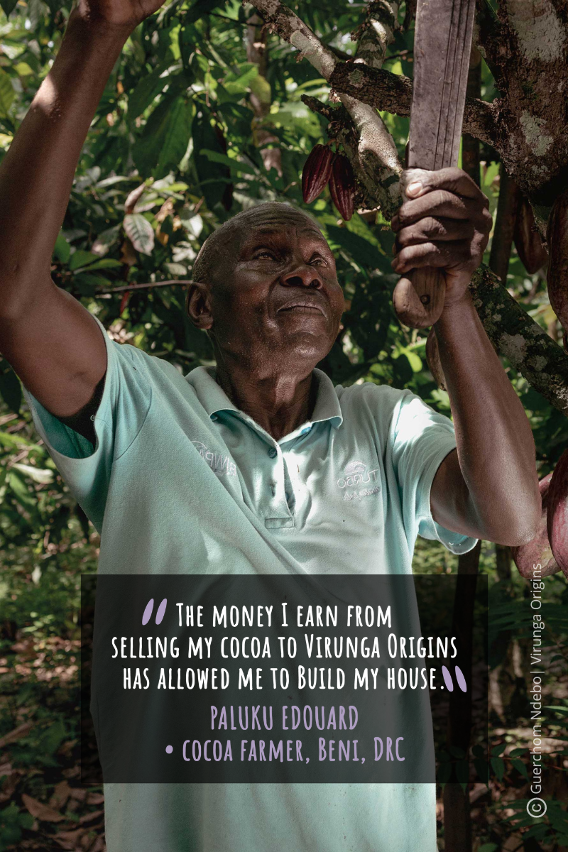 What We Do - Virunga Origins