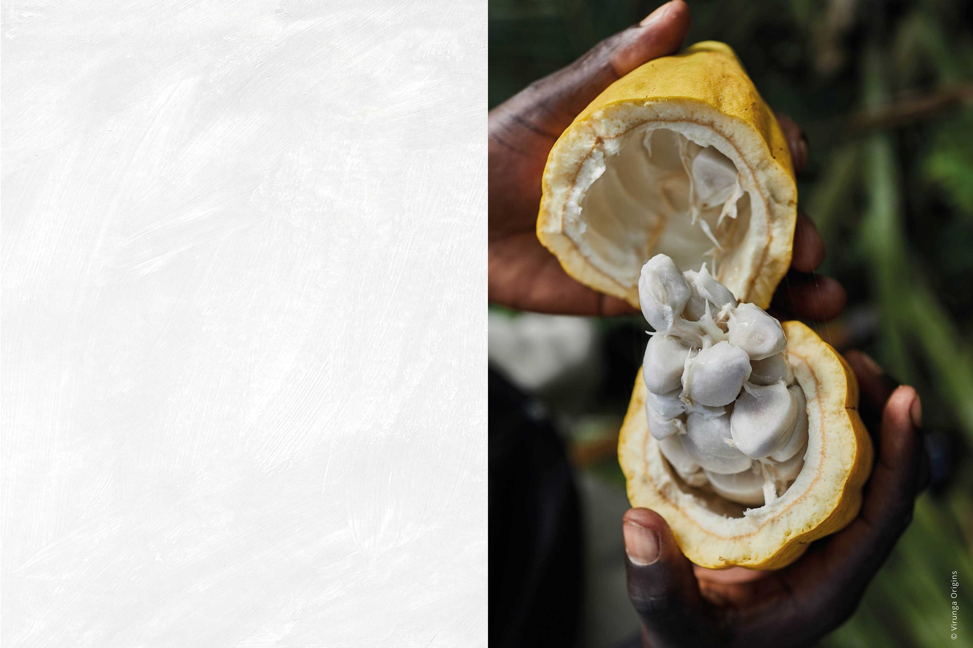 What We Do - Virunga Origins