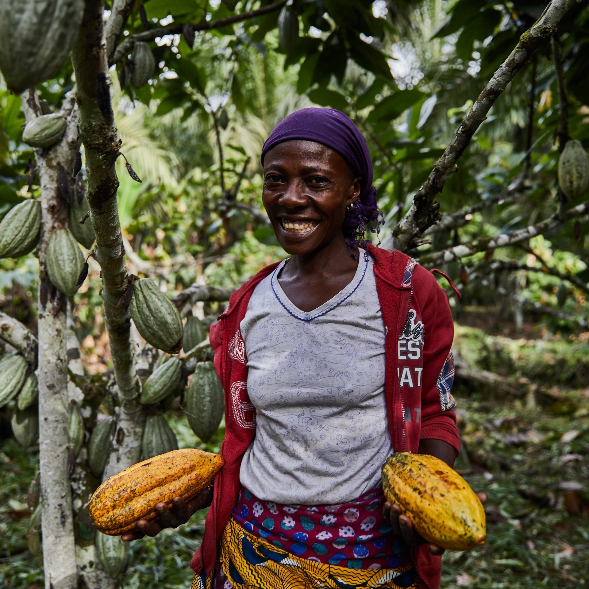 Chocolate – Virunga Origins