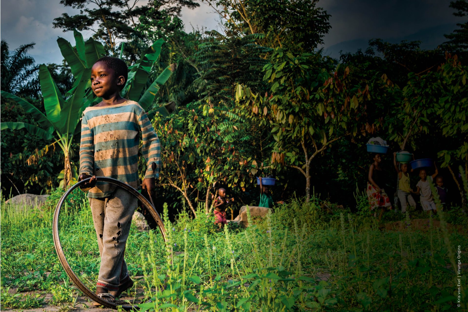 What We Do - Virunga Origins