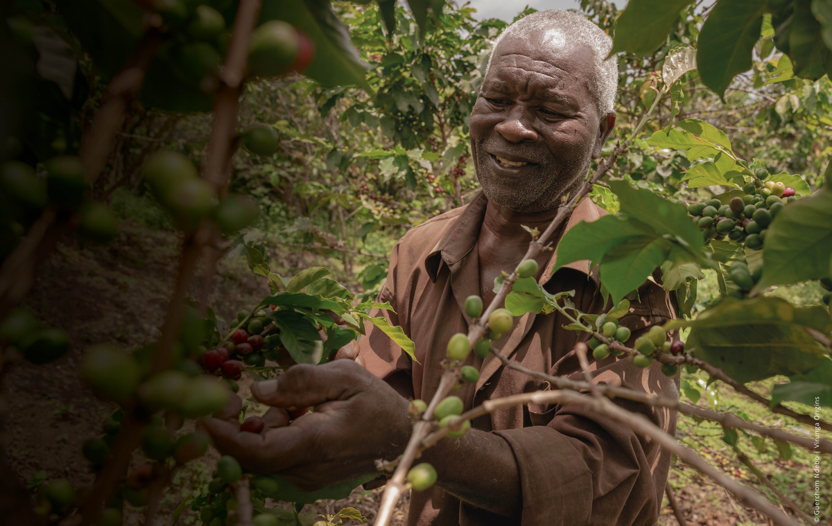 Coffee – Virunga Origins