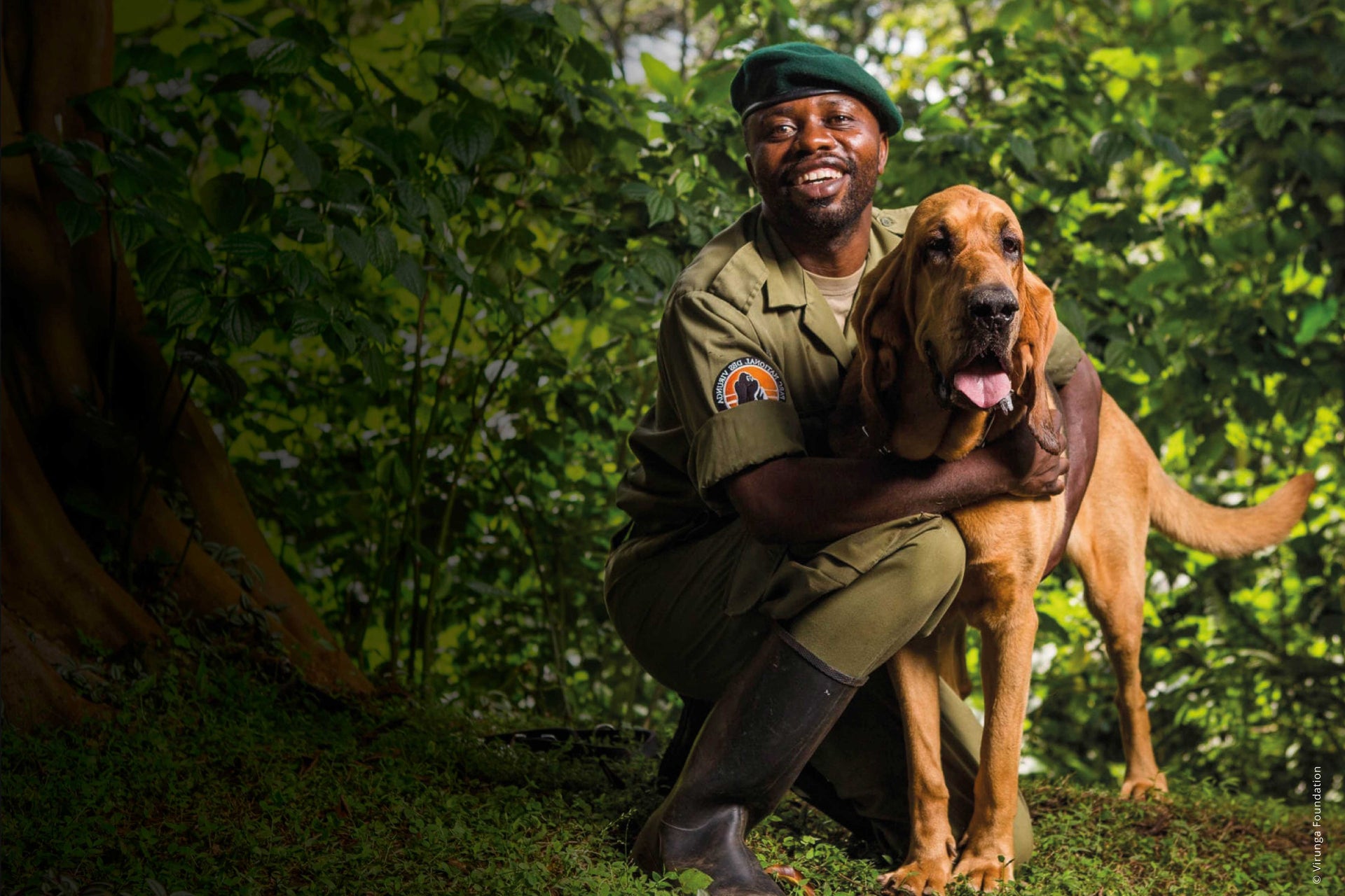 Where We Work – Virunga Origins