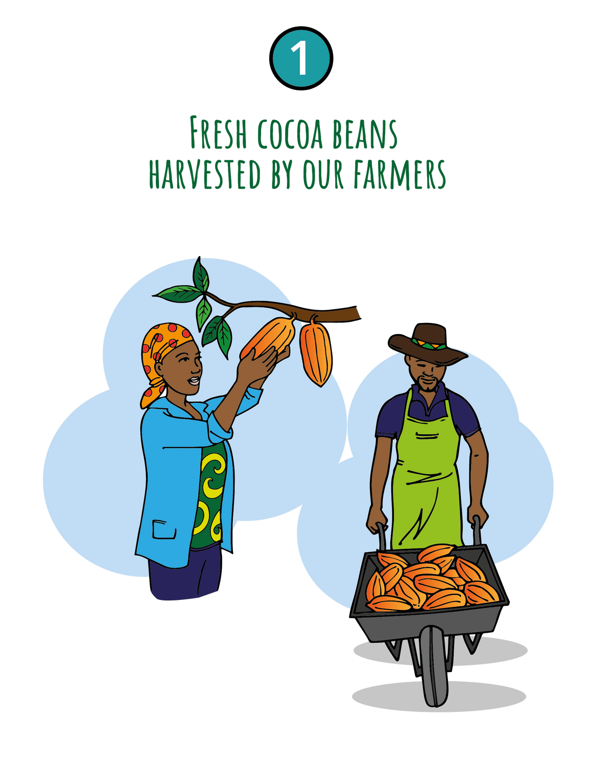 What We Do – Virunga Origins